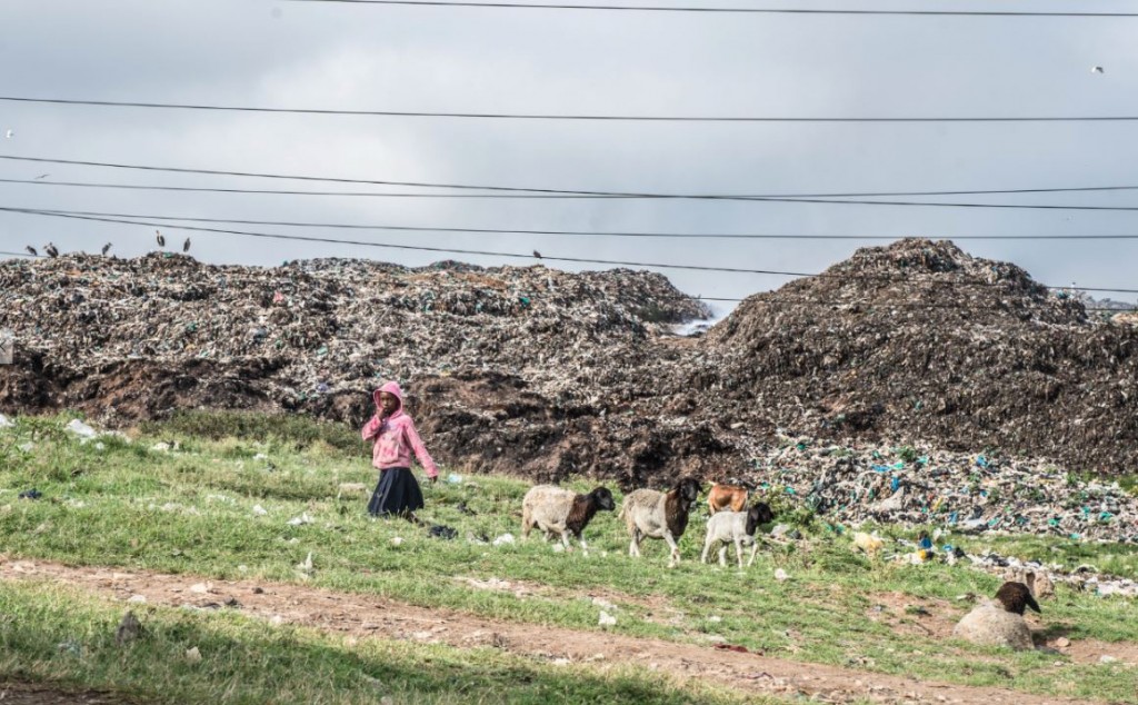 A Dandora cambia la musica - SocialNews